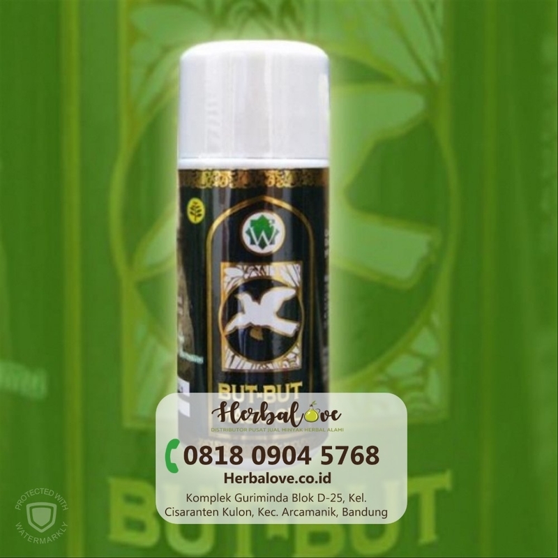 Harga Minyak But-But Original Sorong - Toko Produk Herbal No.1 ...