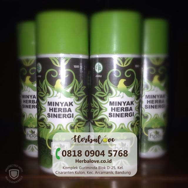 Harga Minyak But-But Berkualitas Yogyakarta - Toko Produk Herbal No.1 ...