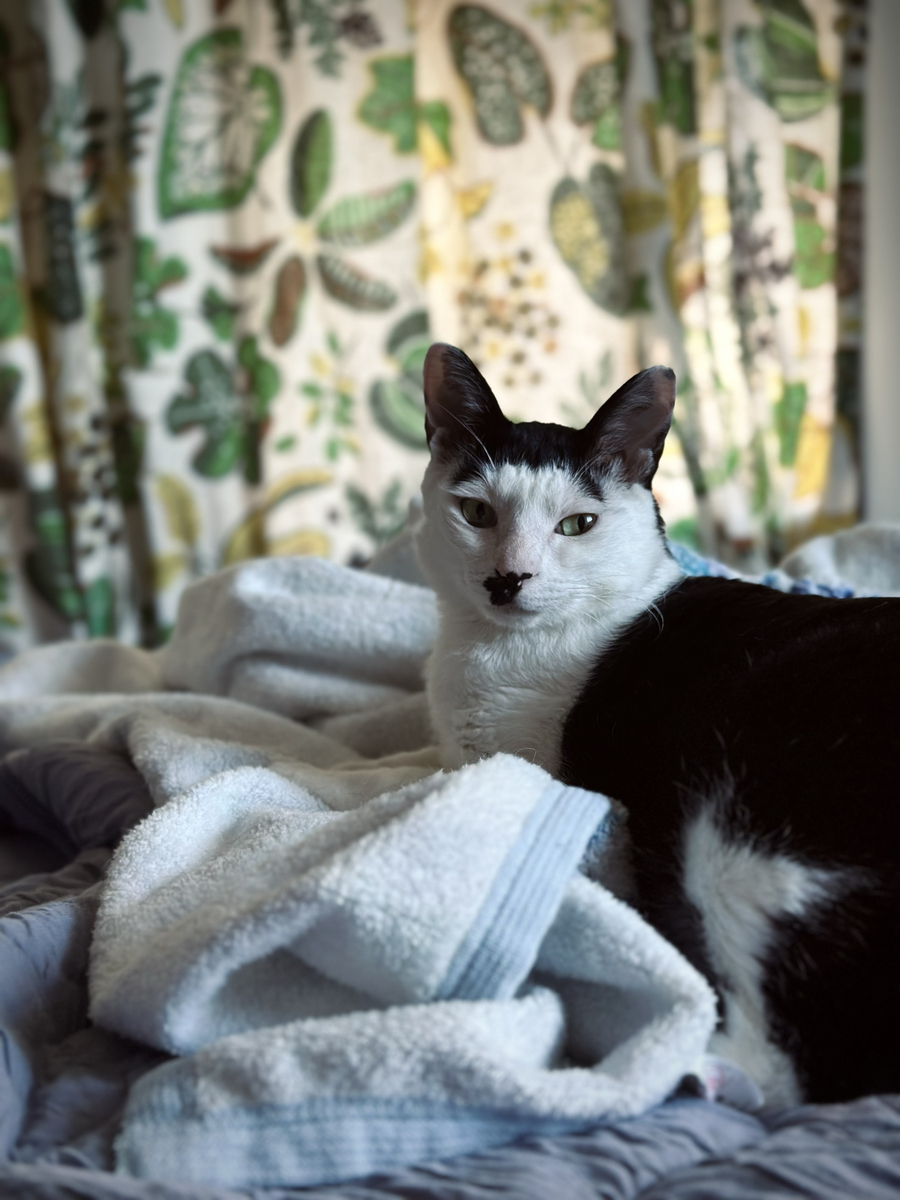 7月15日〜17日 三連休 - HAGIBLOG