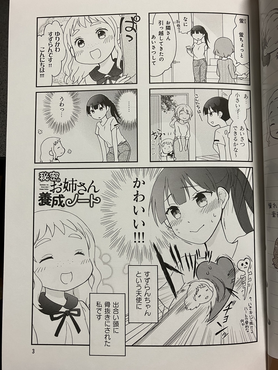 （マンガ）『秘密のお姉さん養成ノート』 Kz ケーズ ライダーのエンタメ感想所 Blog