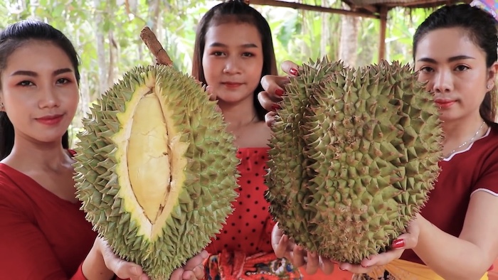 カンボジア発の農村Vlogger Polinさんのもう1つの動画チャンネル『Natural Life TV』 - ガラパゴスの蛙