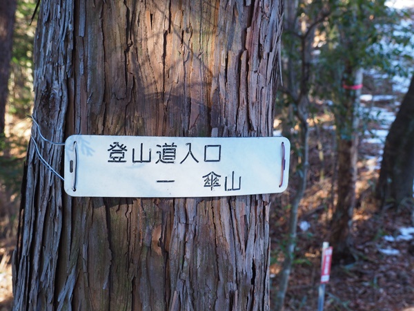 傘山(1,542m) 2023年1月1日 - ひねもすのたり。