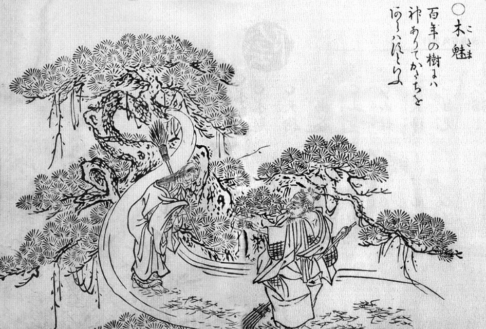 邪魅 - 百怪風景