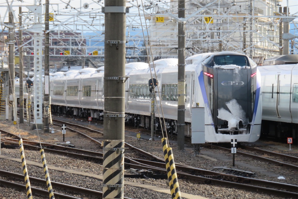 大糸線(E353系S119編成)臨時回送 - 特急上高地回遊81号