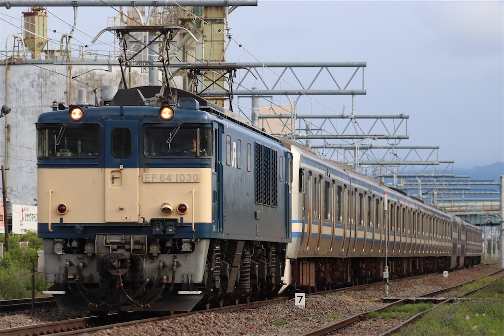 E217系Y-3編成 NN入場配給(廃車回送) - 特急上高地回遊81号