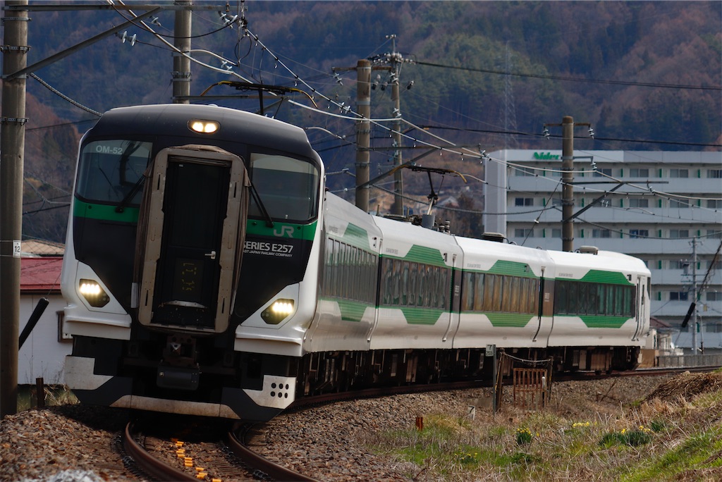 E257系5500番台 団臨(回送) - 特急上高地回遊81号