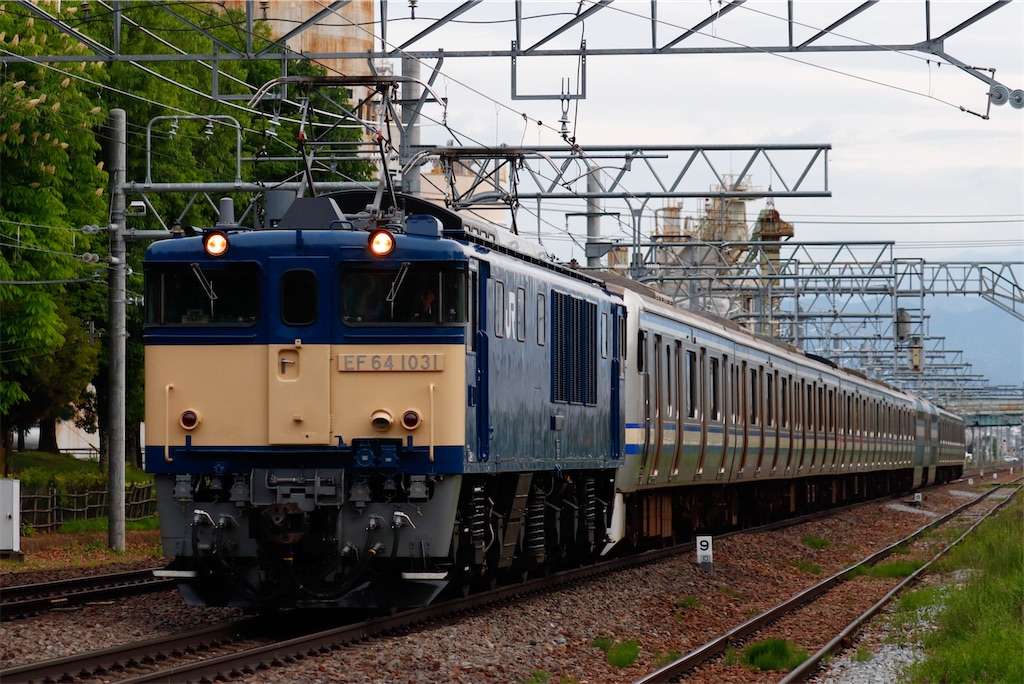 E217系Y-39編成 NN入場配給(廃車回送) - 特急上高地回遊81号