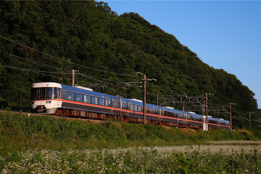 E217系Y-28編成のNN入場配給(廃車回送) - 特急上高地回遊81号