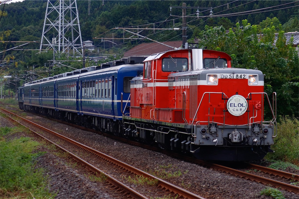 EL/DLぐんま5fin - 特急上高地回遊81号