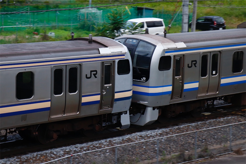 E217系Y-101編成+Y-102編成 NN入場配給(廃車回送) - 特急上高地回遊81号