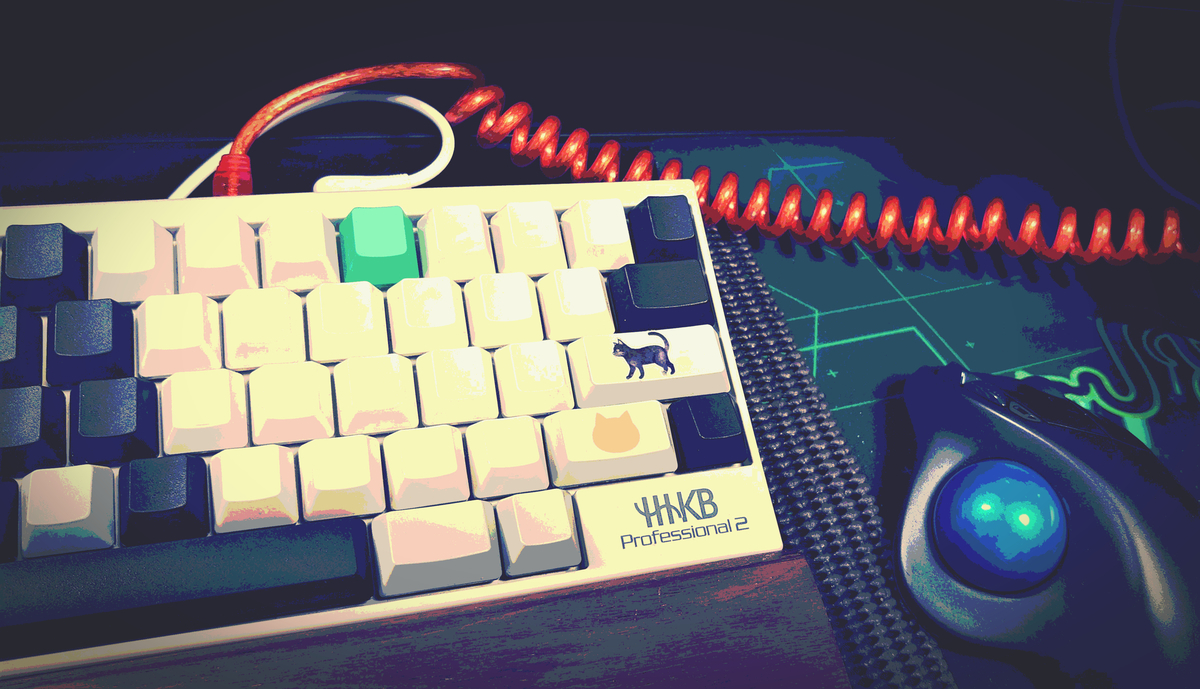 69回目 「透けルトン」なデザインはいかが？コイル巻き状で見た目 な『LINDY』USB 2.0 typeBケーブル - パソコンのパの字も知らない