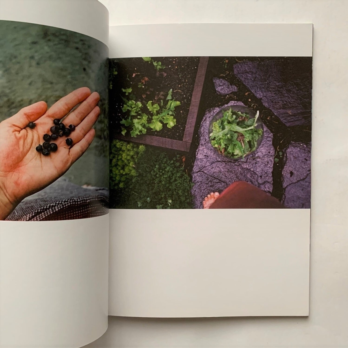 3191quarterly NO.5 / Maria Alexandra Vettese / Stephanie Congdon Barnes ...