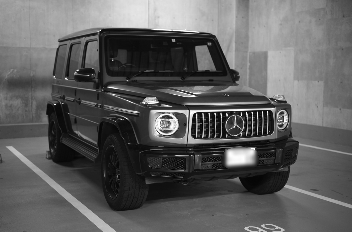 現行ゲレンデ納車後1200km走破‼︎見えてきた5つのメリットとは【Gクラス】【G350d】【メルセデスベンツ】 - 本能ブログ【東京とカメラといろいろと】