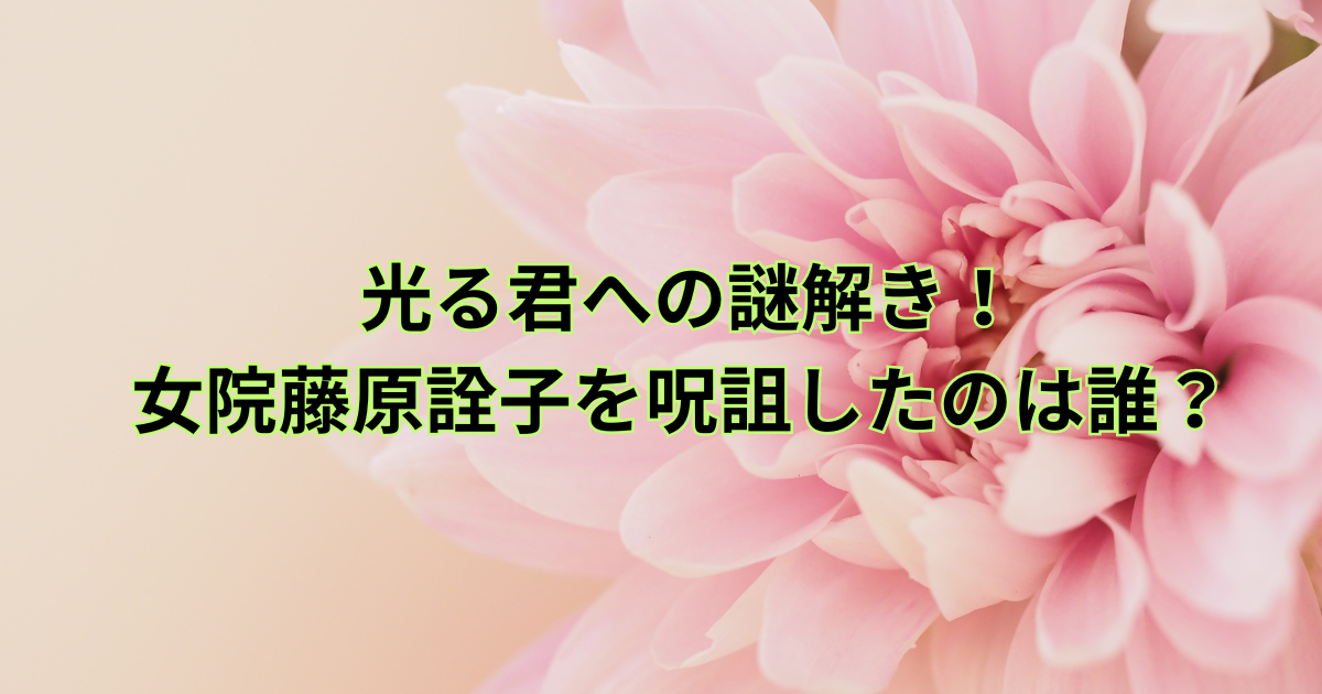 光る君への謎解き！女院藤原詮子を呪詛したのは誰？5月19日放送 カサンドラな私の熟年離婚