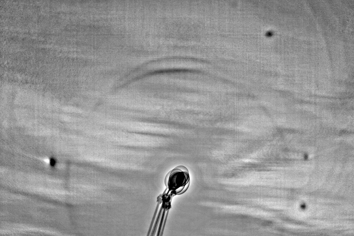 22°上部ローウィッツアーク 22°upper lowitz arc出現! - 空の記録-Gallery of Atmospheric Optics