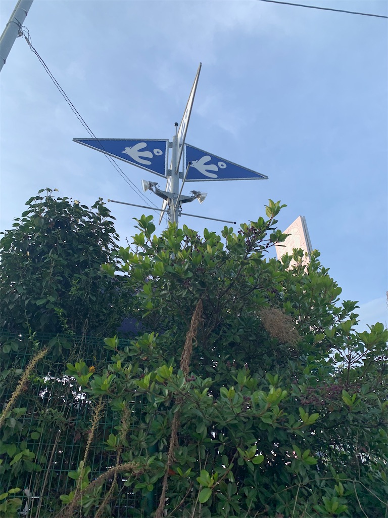 1028 キンプリのライブ初参戦の話🫶 - おたくのきろく。