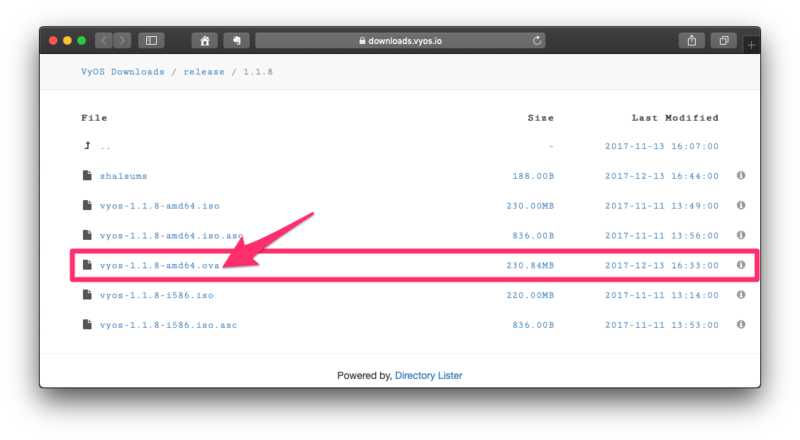 VyOS on VirtualBoxのinstall方法紹介[2020/05/06更新] - 一馬力のメモ帳