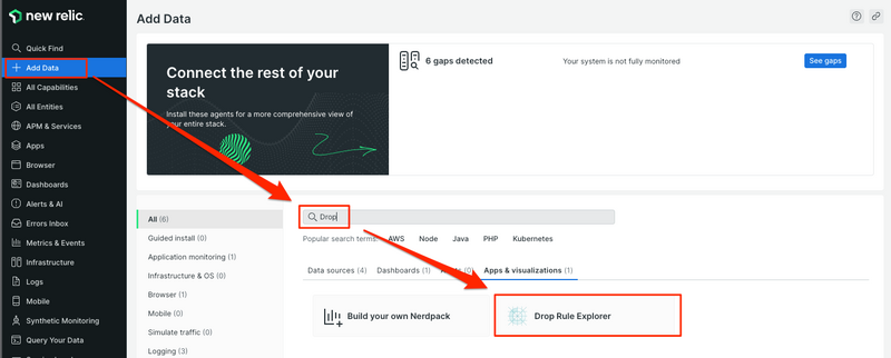New Relic の Drop Rule Explorer - vague memory
