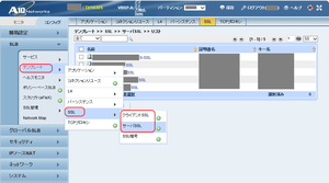A10 SSL証明書更新方法 - sidetech
