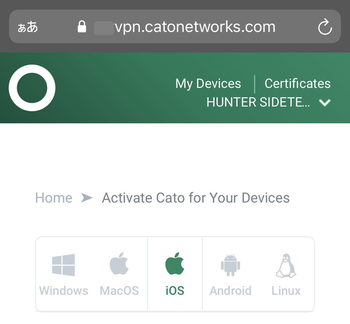 Cato Networksを感で触ってVPNクライアントアクセス！ - sidetech