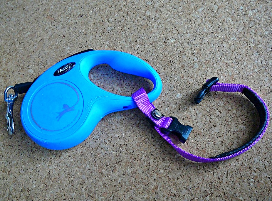 ハンド・ストラップ - 493SFアラ還ライダー