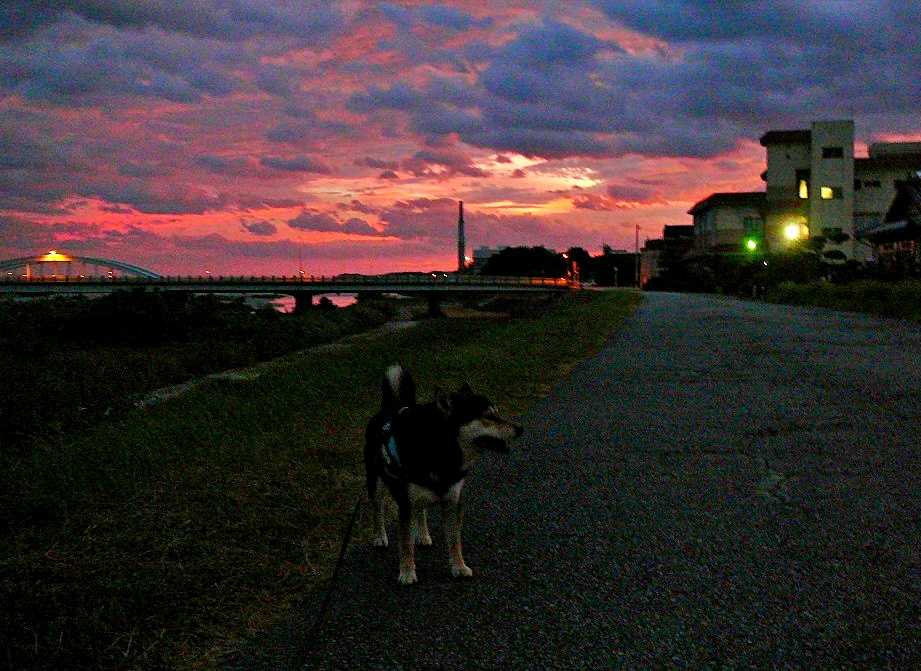 台風のせいで・・・ - 493SFアラ還ライダー