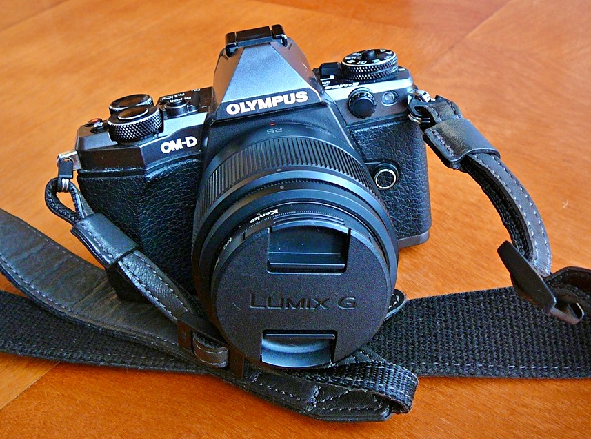 明るい単焦点でボケを - 493SFアラ還ライダー