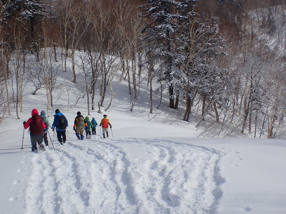 2024-2-22 つげ山（934m）ユートピア（984m）サンデーユートピア（965m） - 百松山岳会