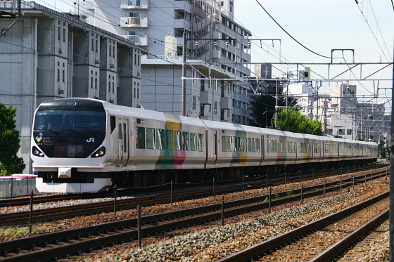 E257系M109編成入場 - ガタゴト日誌