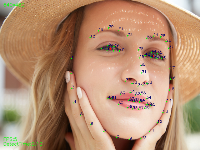 OpenCV、Dlibで顔のランドーマーク検出とまぶたを閉じる検出をやってみた - Atom's tech blog