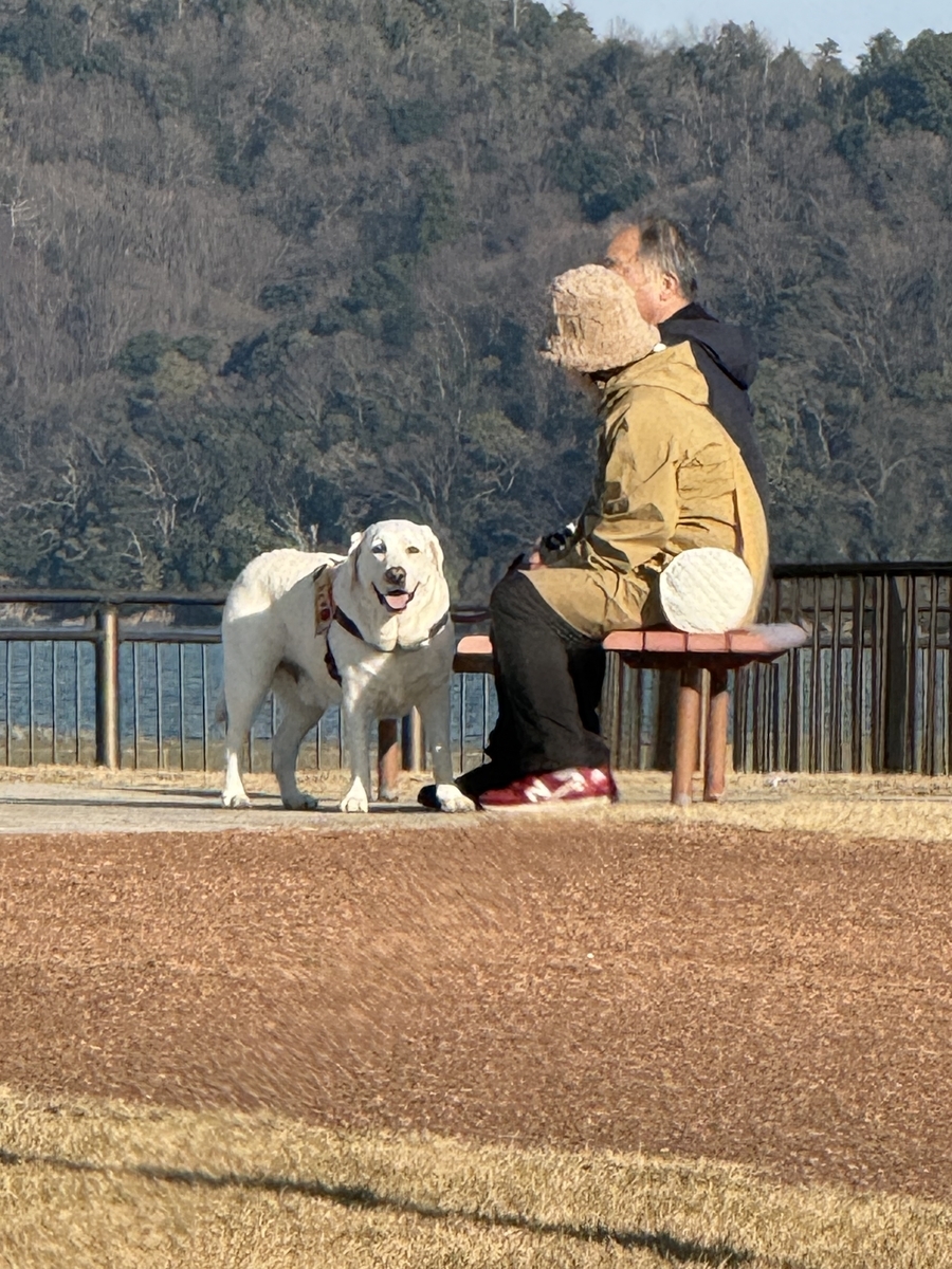 仕事が終わって散歩しました。 - 海一列目のAtelier日記 by Ikeda Art Planet