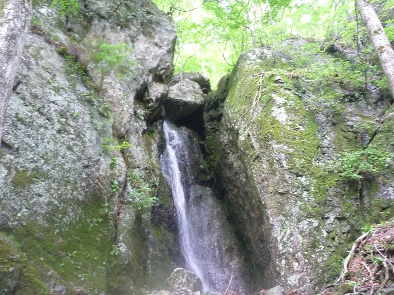 台高 野江俣谷 沢登り 迫力のゴルジュと癒しの森の谷 2011.06.04 - 晴山雨読記 Vol2