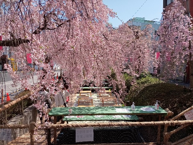 - 愛ね、暗いね。