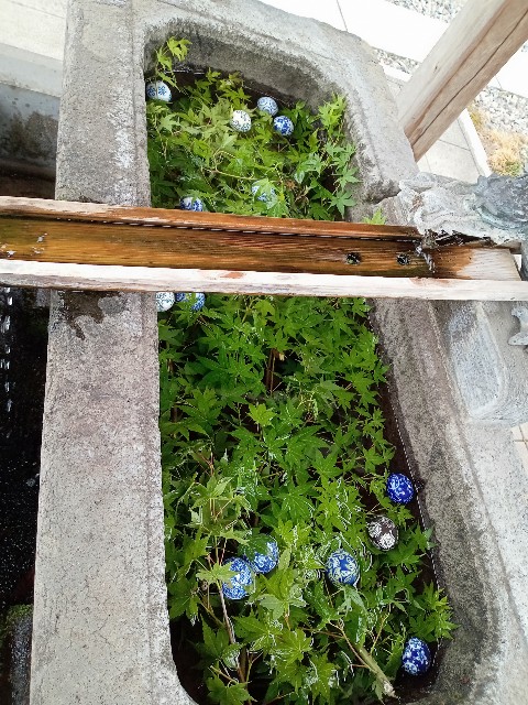 - 愛ね、暗いね。