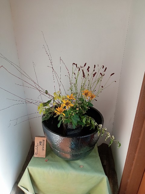 - 愛ね、暗いね。