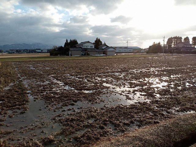 元日 - 愛ね、暗いね。