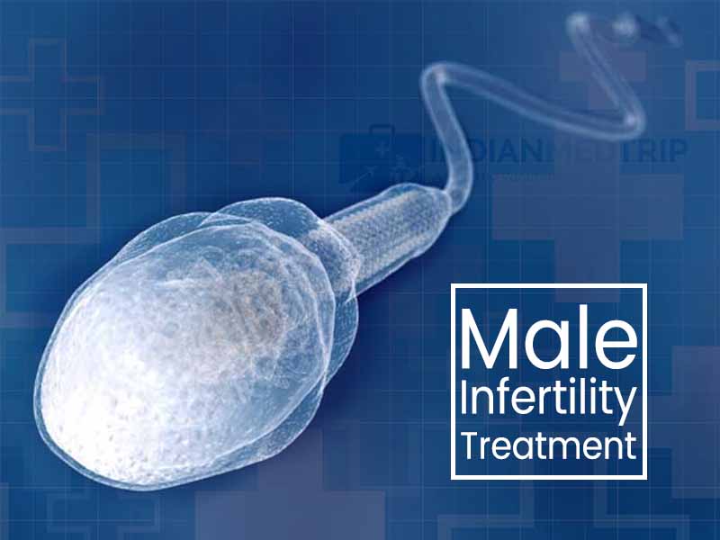Diagnosis and Male Infertility Treatment Options - indianmedtrip’s blog