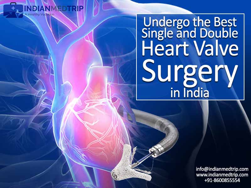 Undergo the Best Single and Double Heart Valve Surgery in India ...