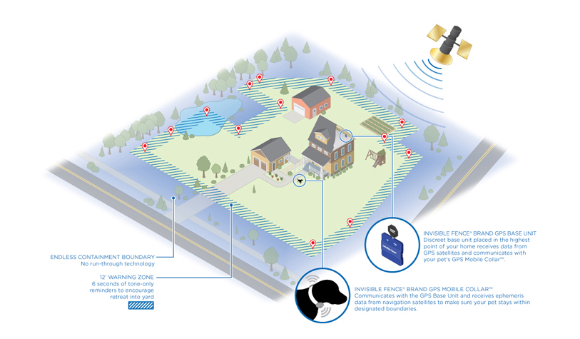 Covering The Invisible Fence Cost - Invisible Fence Cost