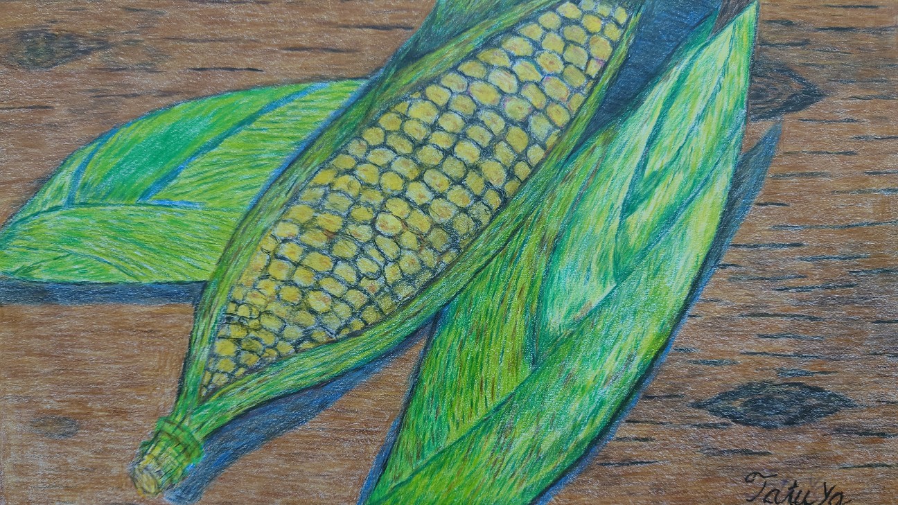 iroenpit-kaiga’s diary