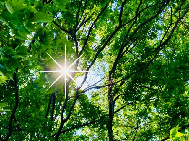 心に響く「消える」の言い換えとは？ - しりたい