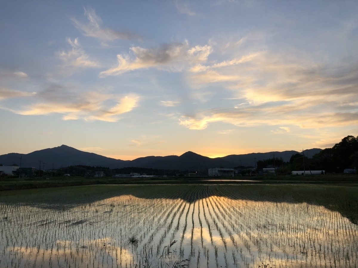 数年前に書きかけたもの - 透明なひかり