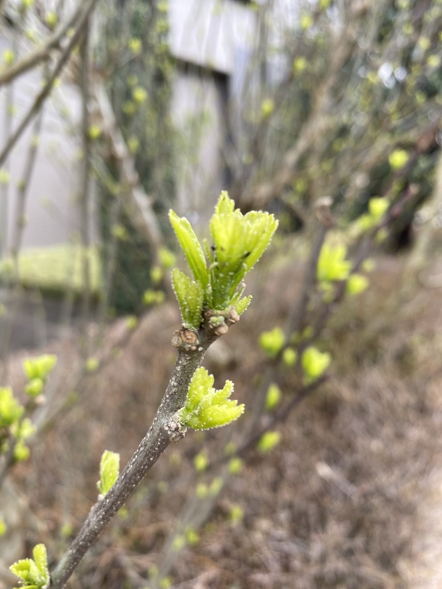 破壊 - 透明なひかり