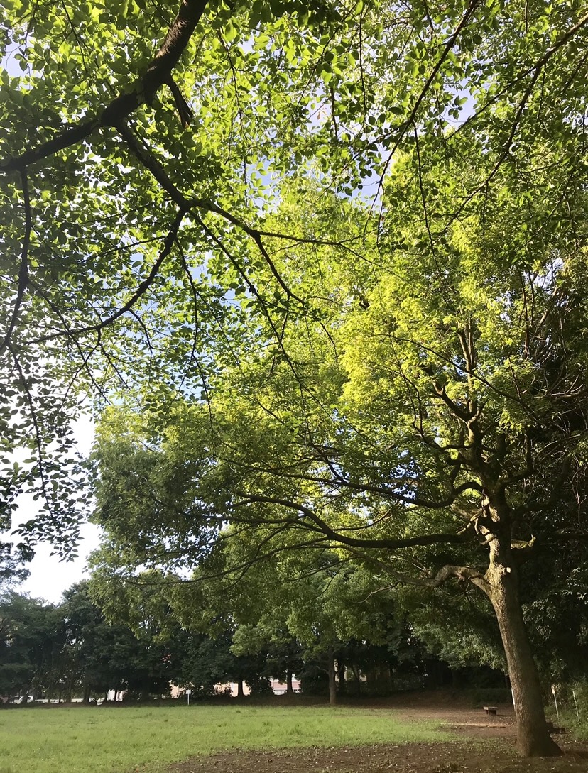 出会い - 透明なひかり