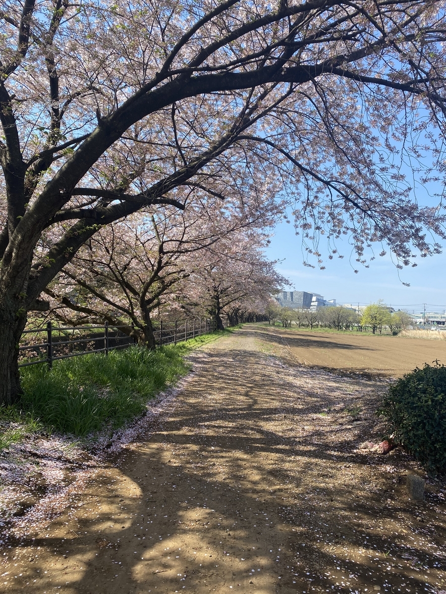 冥界の門 - 透明なひかり
