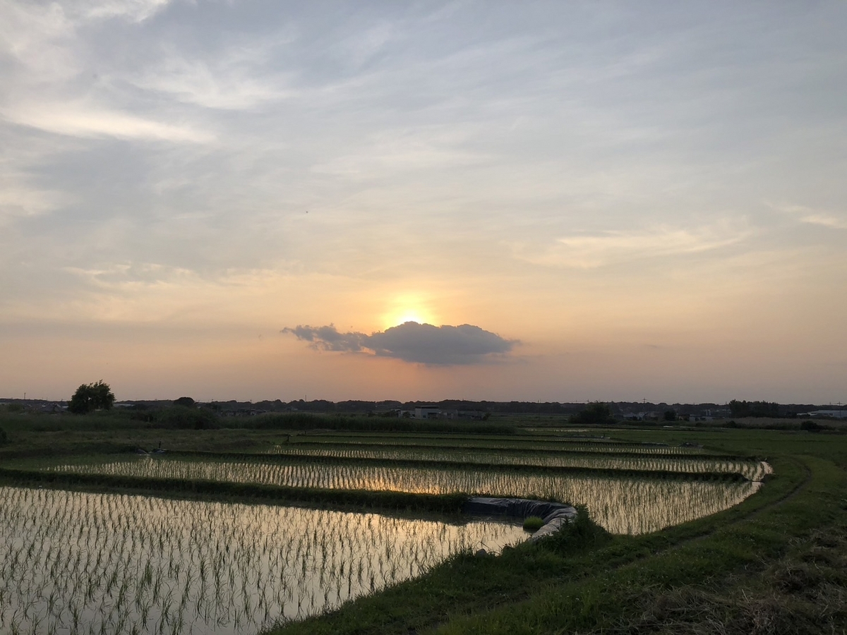 受容 - 透明なひかり