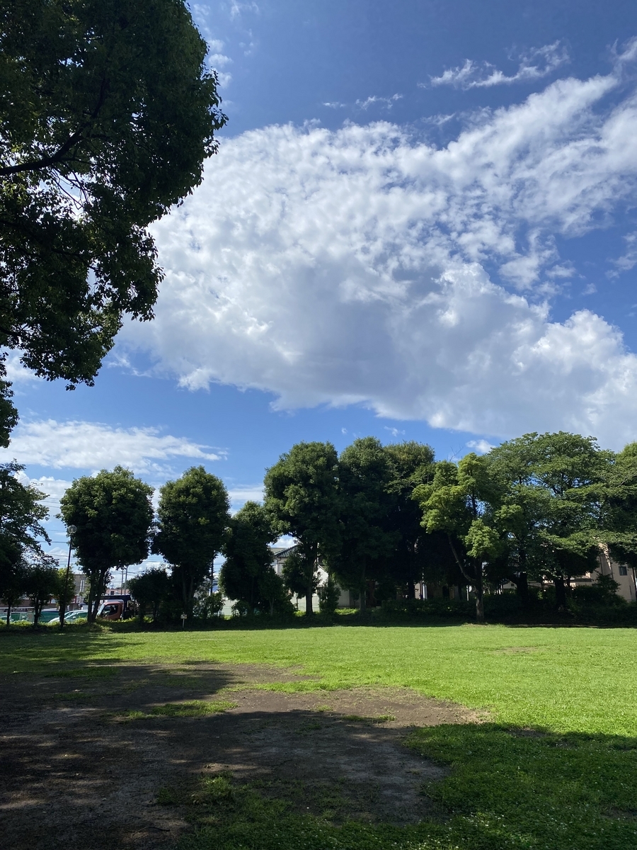 投げ込まれて見える景色 - 透明なひかり