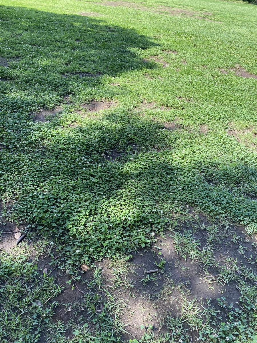 投げ込まれて見える景色 - 透明なひかり