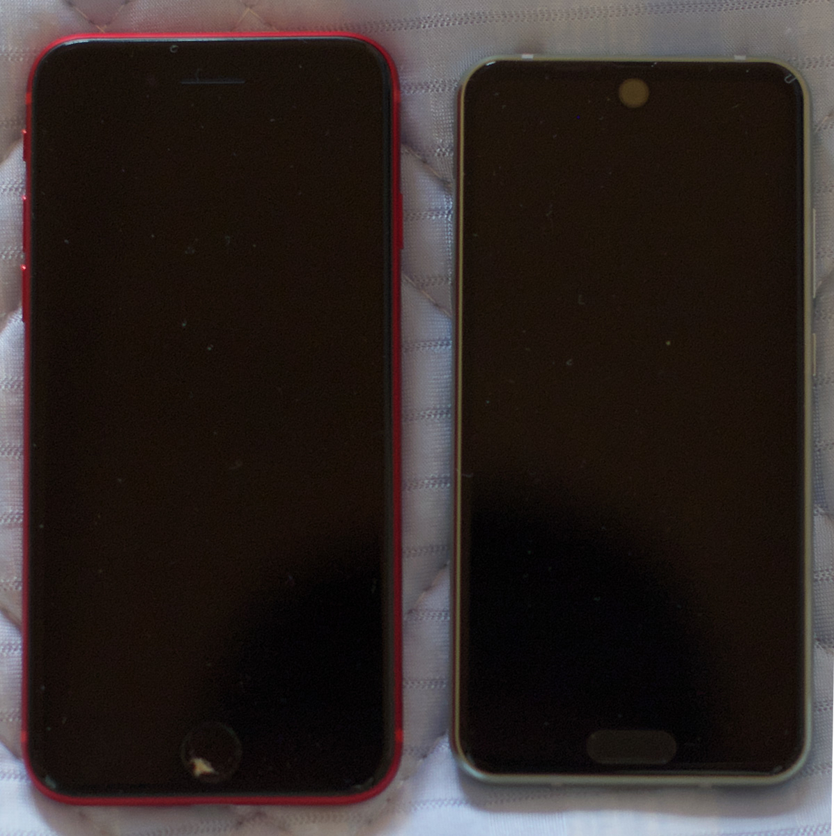 携帯壊れて買替え iPhone8 から AQUOS R2 compact へ変更したので比較レビュー - Lovely Photo Gallery Blog（写真作品とカメラ情報のブログ）