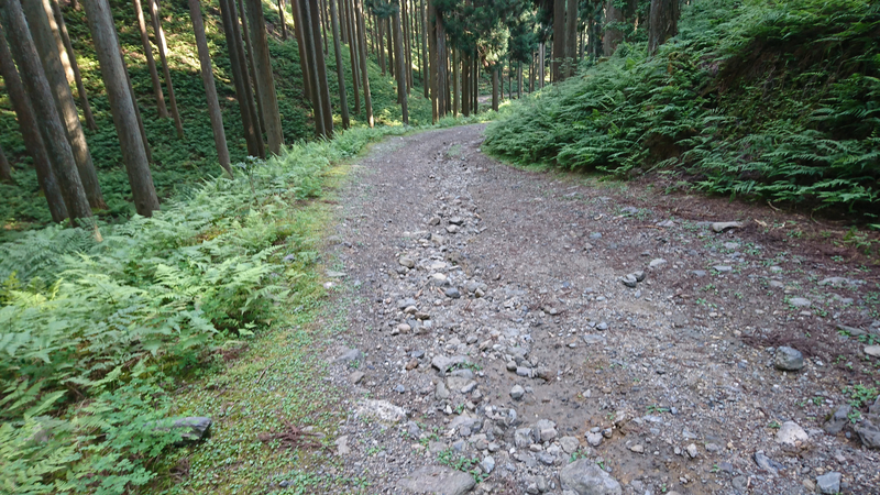 セロー250にGP-210の軽いインプレ - 99％舗装路